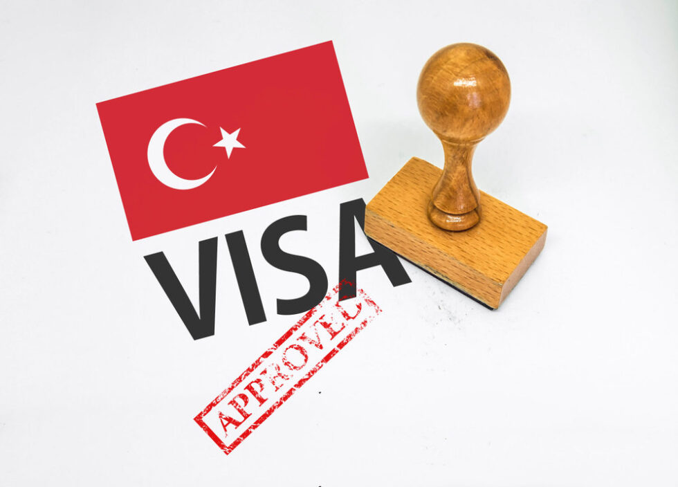 Everything You Need to Know About eVisa for Turkey and Emergency Visa ...